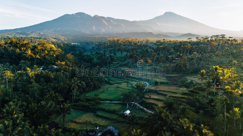Aerial View of Lush Tropical Forest and Rice Fields in Lombok Stock ...