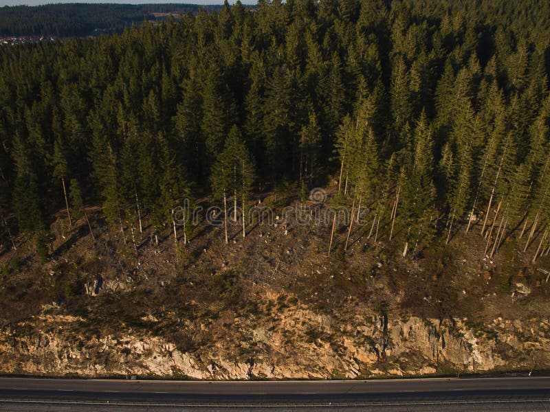 Aerial View of Magnificent Landscape with Forest Stock Photo - Image of ...