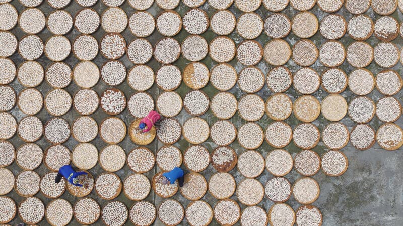 Aerial View Man at Work Drying Process of Crackers Factory Stock Image ...