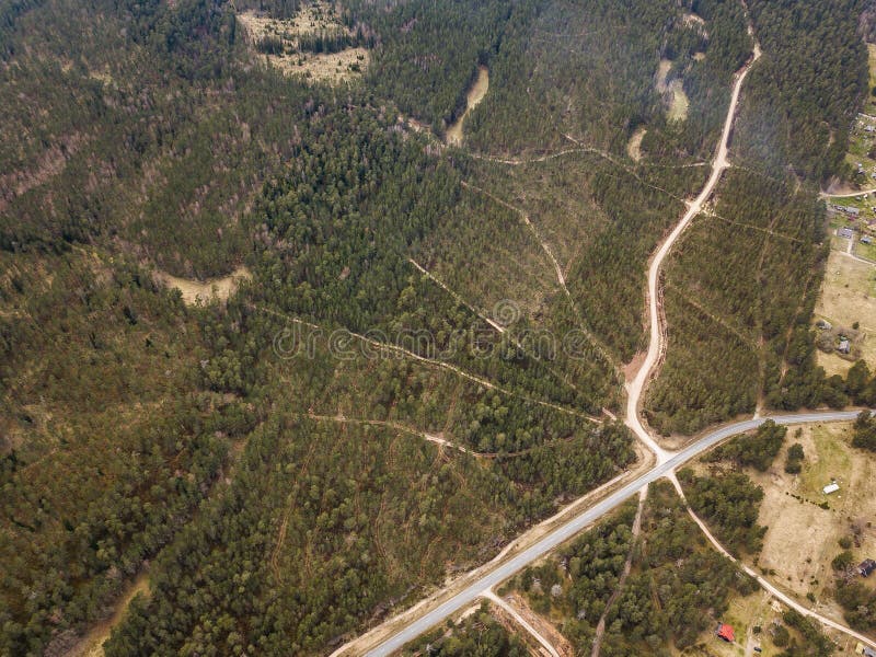 Aerial View of Many Roads in the Forest Stock Photo - Image of ...