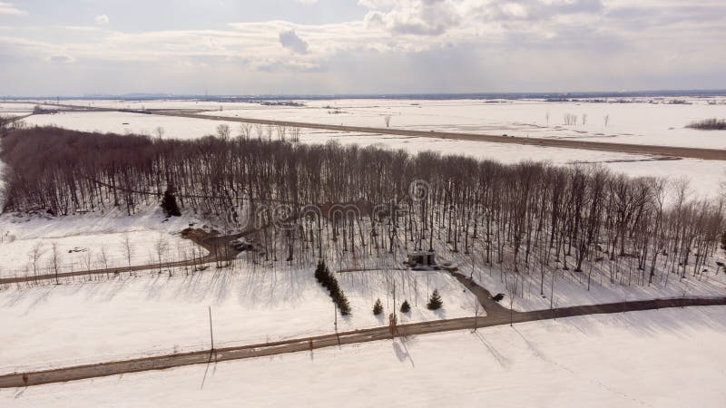 Maple Grove in Spring in the Canadian Countryside Stock Photo - Image ...