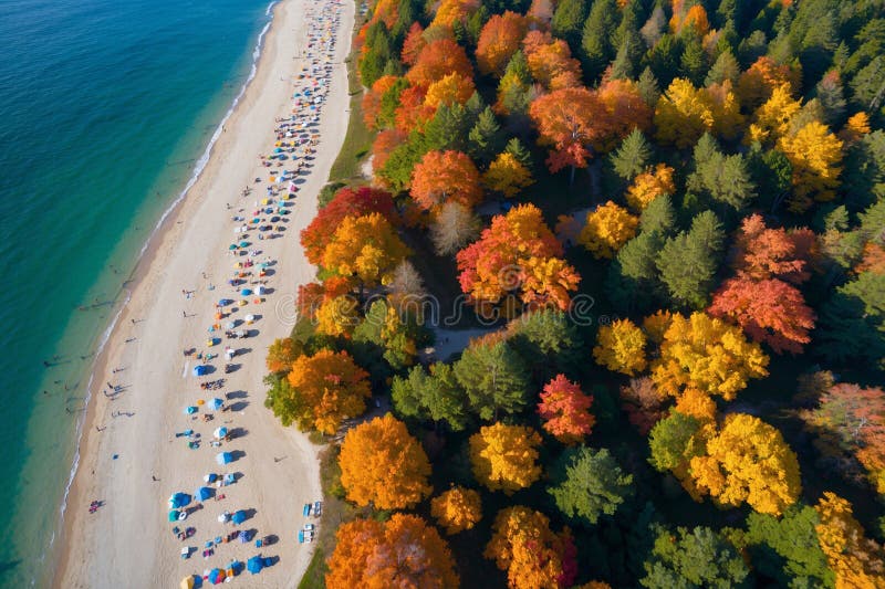 Aerial View Maple Tree Forest Beach Autumn Stock Photos - Free ...