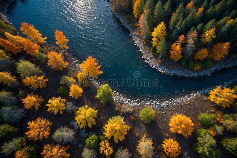 Aerial View Maple Tree Forest on the Edge of a Fast-flowing Rocky River ...