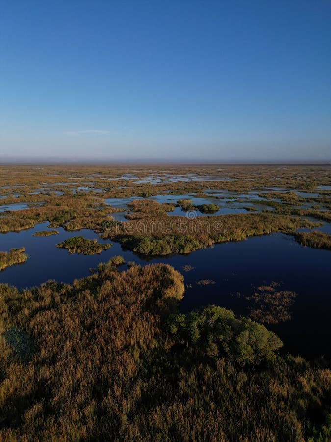 Aerial View of Marshes Covered with Greenery on a Sunny Day Stock Photo ...