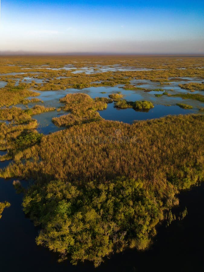 Aerial View of Marshes Covered with Greenery on a Sunny Day Stock Photo ...