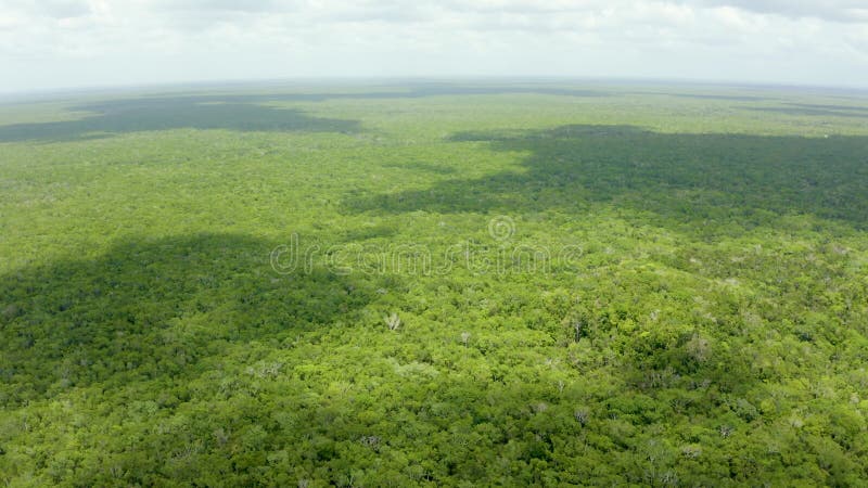 Aerial View of the Mexican Jungle from Above. Stock Video - Video of ...