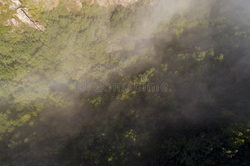 Aerial View of the Mist in a Mountain Forest Stock Image - Image of ...