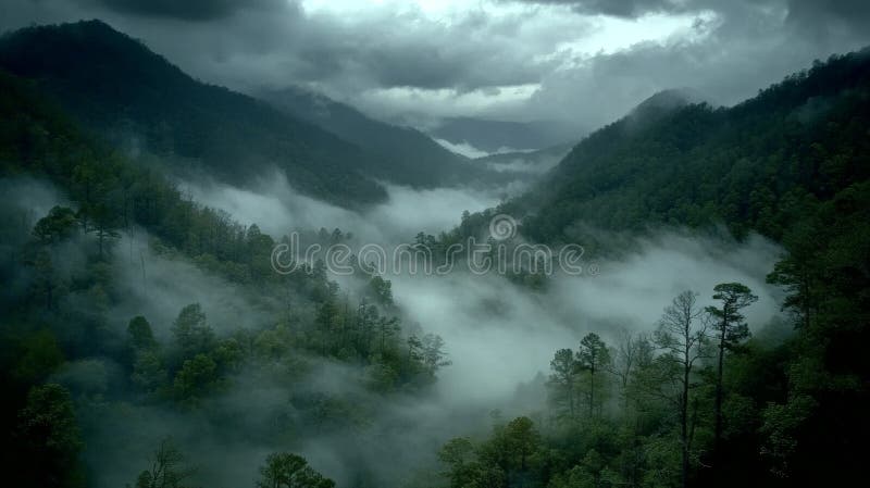 Aerial View of a Misty Forest with Hills and Dark Clouds Set Against a ...