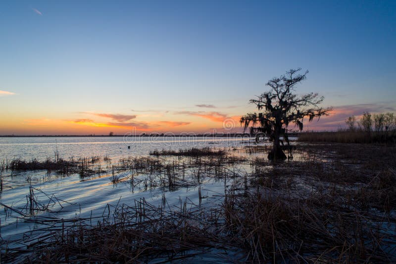 Aerial View of Mobile Bay at Sunset Stock Image - Image of beach ...