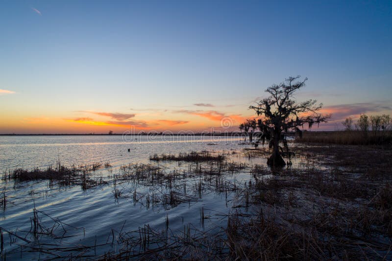 Aerial View of Mobile Bay at Sunset Stock Image - Image of coast ...