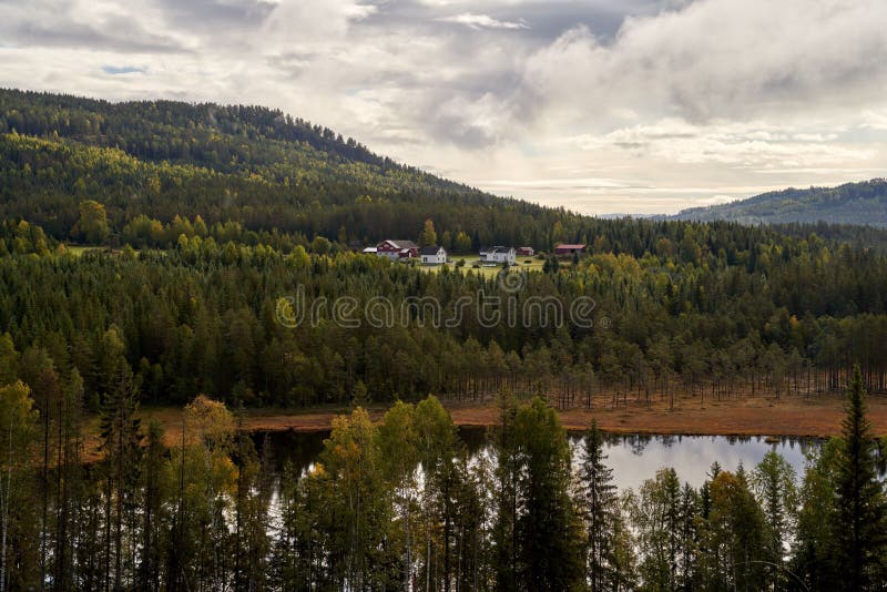 Aerial View of Mountain Landscape Surrounded by Dense Stock Image ...