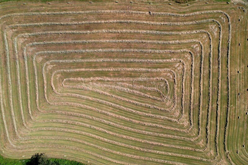 Aerial View of Mowed and Raked Hay Fields - Top View Stock Image ...