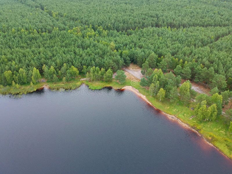 Aerial View on Mud Lake Surface, Forest and Shore Stock Image - Image ...