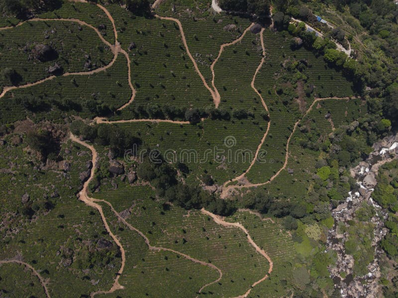Aerial View of the Munnar, Kerala, India Stock Photo - Image of ...