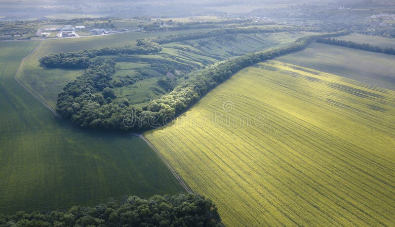 Aerial View of Mustard Terraces Fields on Springtime Stock Photo ...