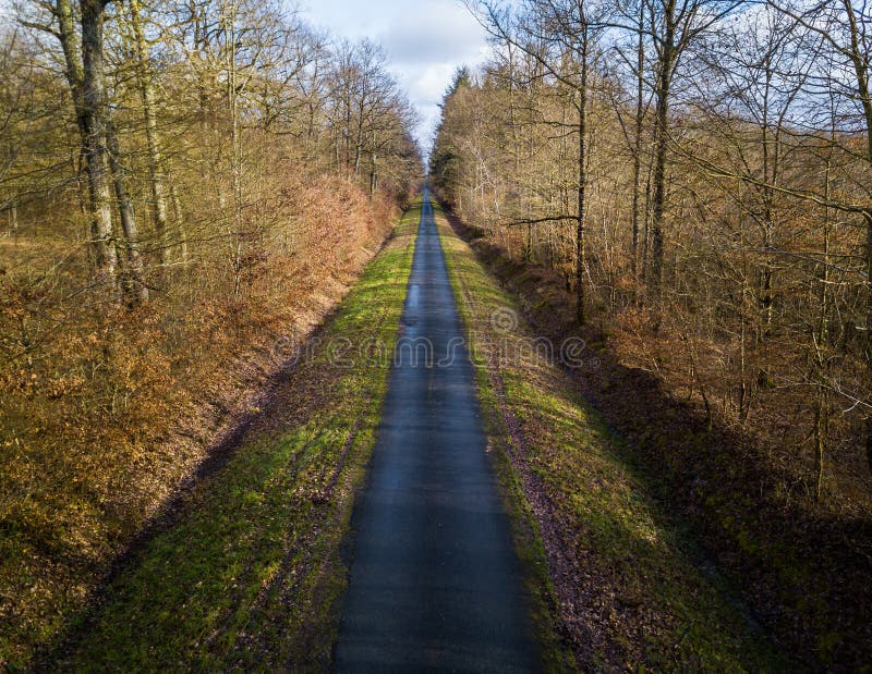 Narrow Road Winding through Green Forest Covered Mountains Stock Photo ...