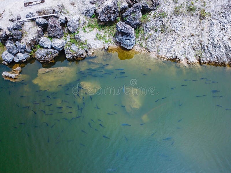 Aerial View of Natural Fish Pond Stock Image - Image of thammarat, rock ...