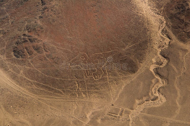 Aerial View of the Nazca Lines in Peru Stock Photo - Image of peru ...