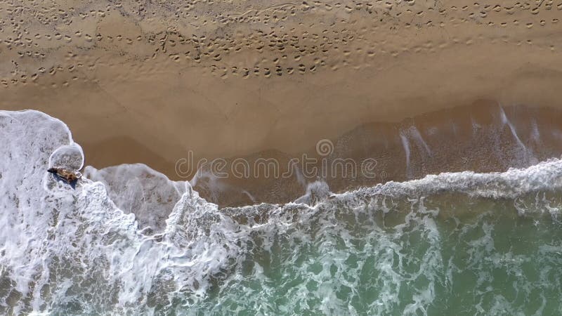 Aerial View of Ocean Waves Washing a Secluded Sandy Shoreline Beach ...