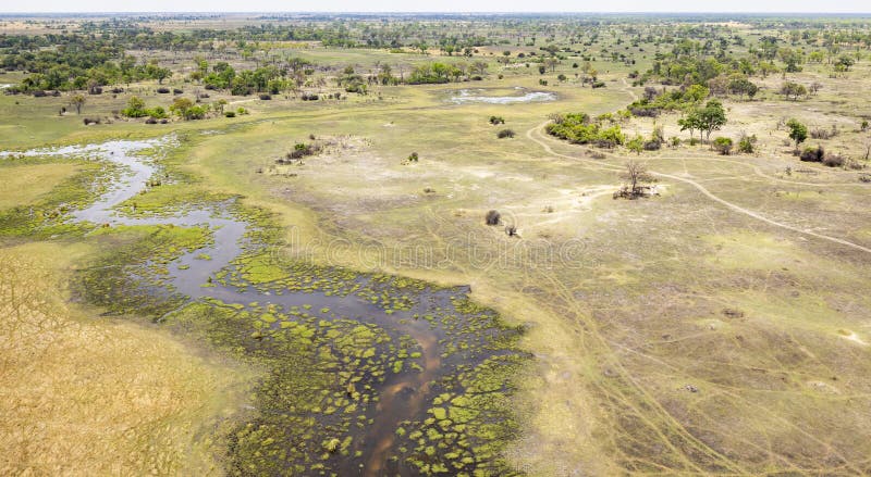 Aerial View of the Okavango Delta, Botswana Stock Image - Image of ...