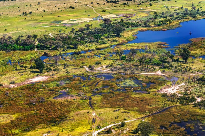 Aerial View at Okavango Delta Stock Photo - Image of delta, okavango ...