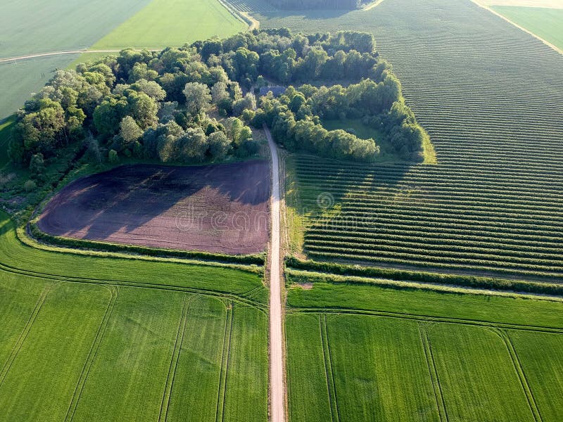 Aerial View of Old Homestead on Farmland Fields in Spring Stock Photo ...