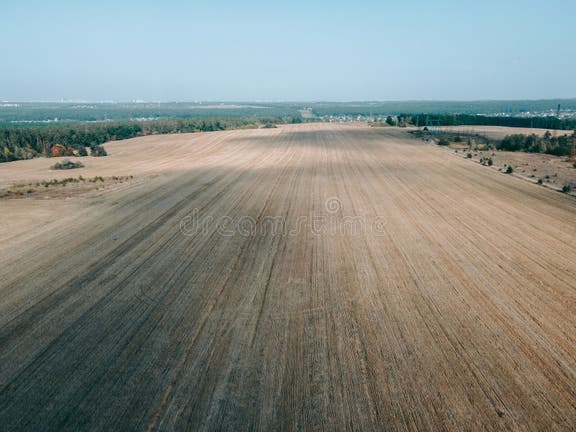 Aerial View of an Open Field during the Day Stock Image - Image of ...