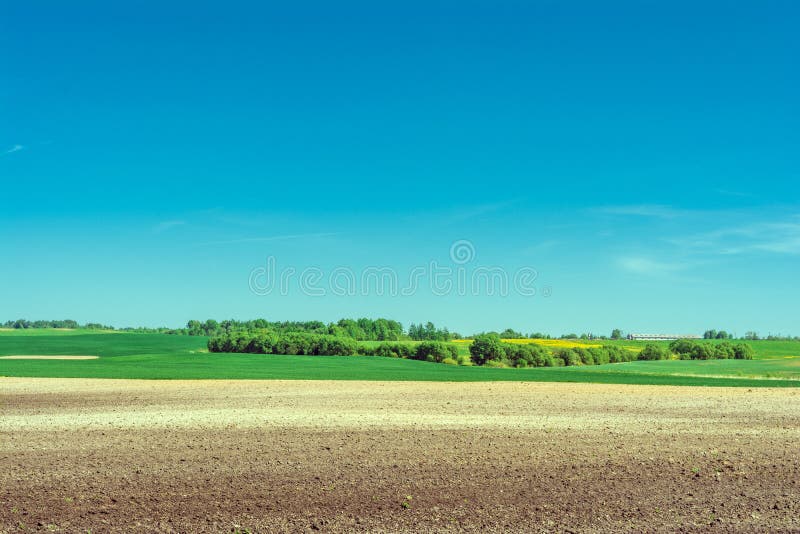 Aerial View Over the Agricultural Fields Spring Time, Green Field with ...