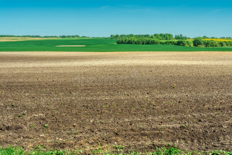 Aerial View Over the Agricultural Fields Spring Time, Green Field with ...