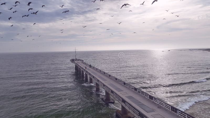Aerial View Over Bridge with Flock of Birds Trailing Stock Footage ...