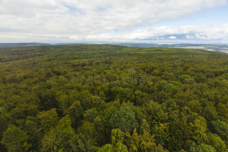 Aerial view over a forest stock image. Image of forest - 58276421