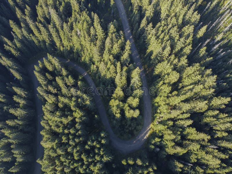 Aerial View Over Mountain Road Going through Forest Landscape Stock ...
