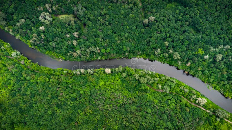 Aerial View Over the River Which is on the Green Forest Stock Image ...