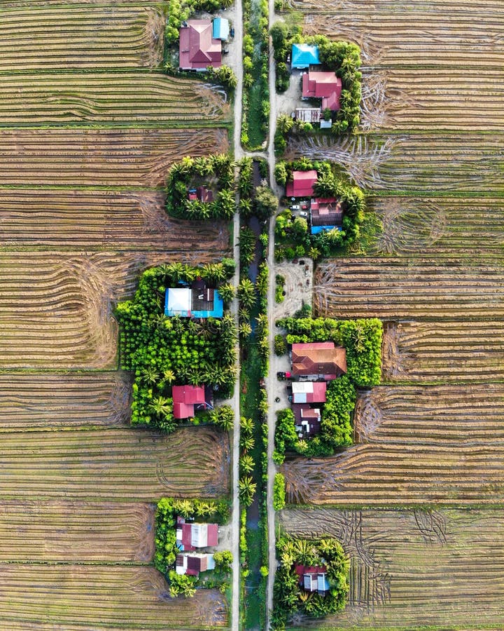 Aerial View of Paddy Field after Ploughed. Stock Image - Image of ... Aerial View of Paddy Field after Ploughed. Stock Image - Image of ...