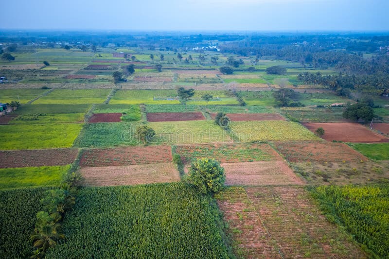 Aerial View of Paddy Fields in Rural India in Karnataka State Stock ...
