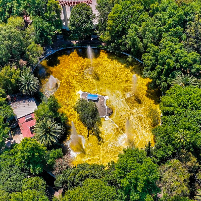 Aerial View of Parque Mexico Editorial Stock Image - Image of avenue ...