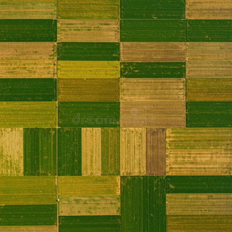 Aerial View of Patchwork Agricultural Fields in Various Shades of Green ...