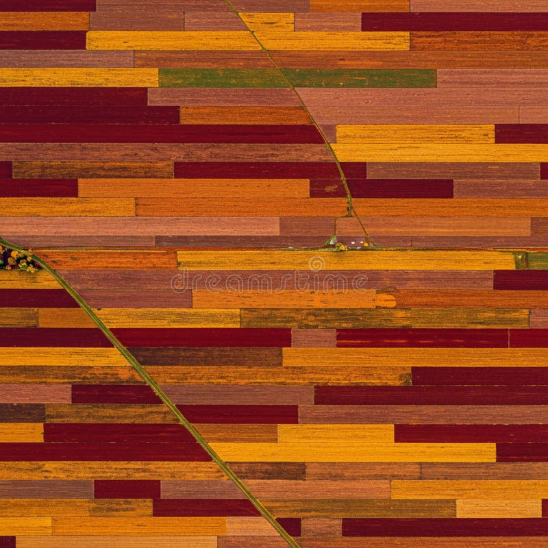 Aerial View of Patchwork Farmland with Rectangular Fields in Various ...