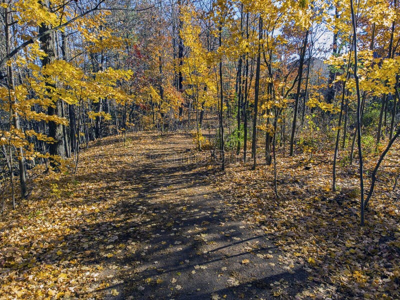 Aerial view of path stock photo. Image of outdoors, road - 235111846