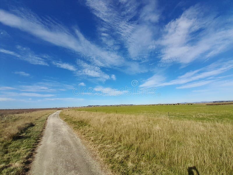 Aerial View of Path in Greenery Field Stock Image - Image of aerial ...