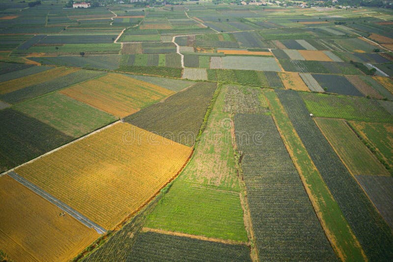 Pineapple Fields In Central Oahu Hawaii Stock Image - Image of oahu ...