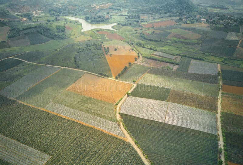 Pineapple Fields In Central Oahu Hawaii Stock Image - Image of oahu ...