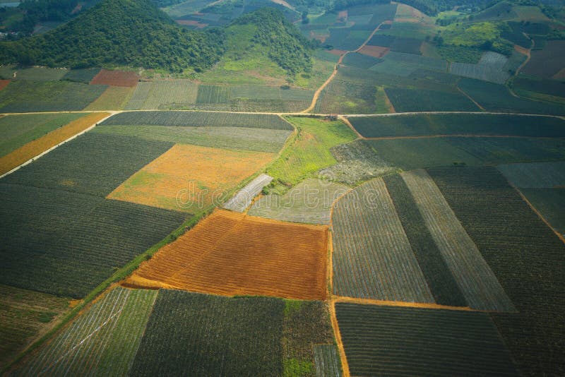 Pineapple Fields In Central Oahu Hawaii Stock Image - Image of oahu ...