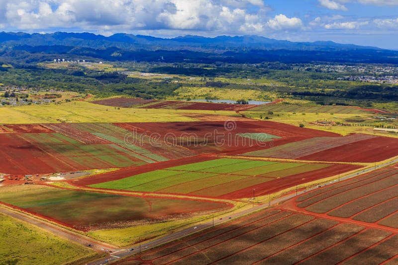 Aerial View of Pineapple Fields and Palm Trees in Oahu Hawaii Stock ...