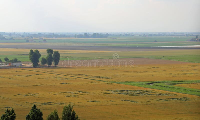 Aerial View of the Plain with the Cultivated Fields and Crops Stock ...