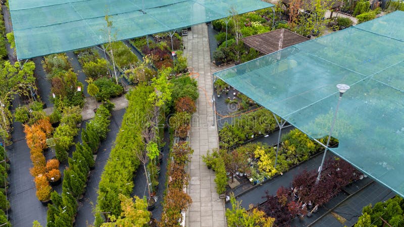 Aerial View of a Plant Nursery with Pathways Stock Photo - Image of ...