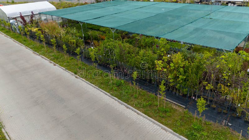 Aerial View of a Plant Nursery with Pathways Stock Image - Image of ...