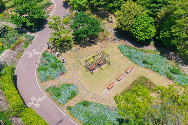 Aerial View of Public Park with Walkway. Stock Photo - Image of ...