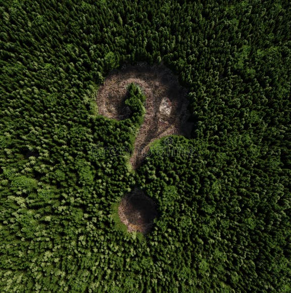 Aerial View of a Question Mark Inside a Forest Stock Illustration ...