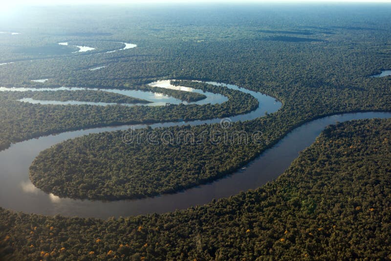 Aerial View of the Rainforest and the Amazonas River Stock Photo ...